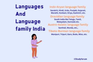 Languages and language Family of India | Hindi language family - TETaDDa